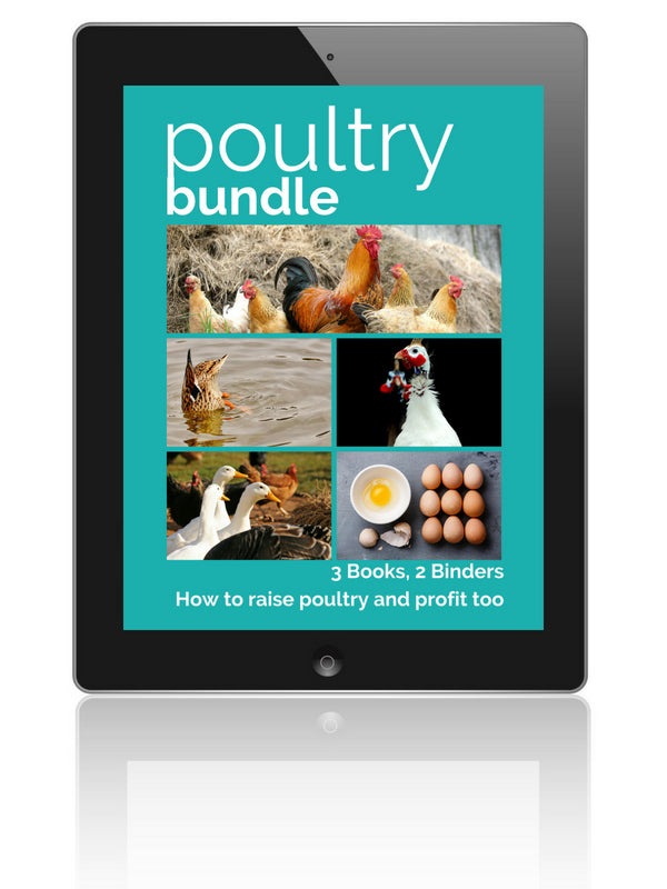 Poultry Bundle: From Chick to Profits – A Life of Heritage